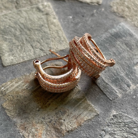 Jewelry | Ss Pg Cz Interlocking Multi Row Earring | Poshmark